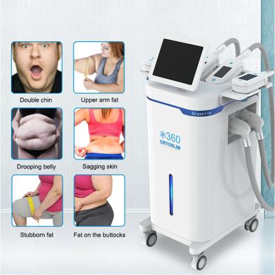 Cina Passa Cryolipolysis che dimagrisce la macchina combustione grassa in vendita