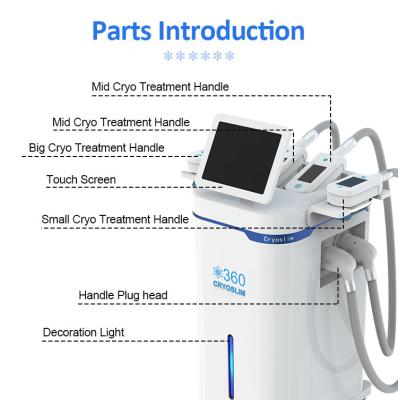 Cina Passa Cryolipolysis che dimagrisce la macchina combustione grassa in vendita