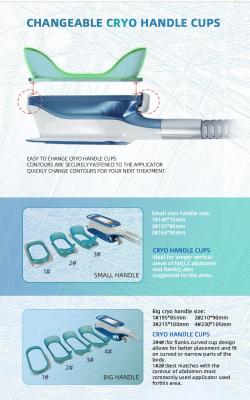 Cina 1000W Cryolipolysis fresco che dimagrisce cavitazione grassa del bruciatore 40K del laser Lipo della macchina 650nm in vendita