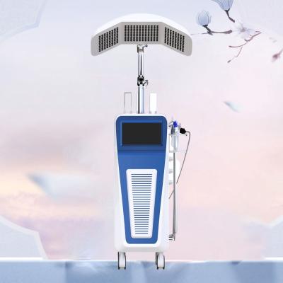 Cina 9 in 1 macchina di pulizia facciale dell'ossigeno di Dermabrasion della hydra per il fotone di cura di pelle PDT principale in vendita