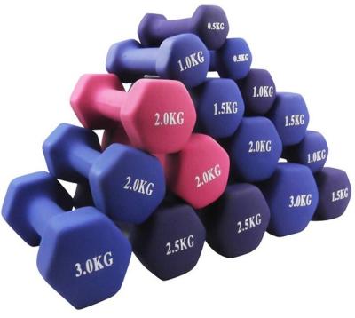 China red blue green pink purple 0.5kg-10kg women Vinyl Coated Dumbbells for sale