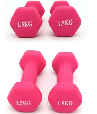 China Women Fitness Aerobic Exercise dumbbell charm Dumbbells Gym Neoprene Iron Dumbbells for sale