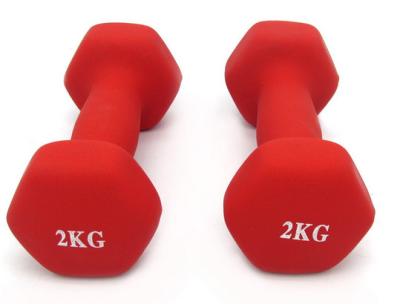 China 1kg 2kg 3kg 4kg 5kg 6kg 7kg 8kg 9kg 10kg Women Fitness Vinyl Dipping Dumbbell for sale