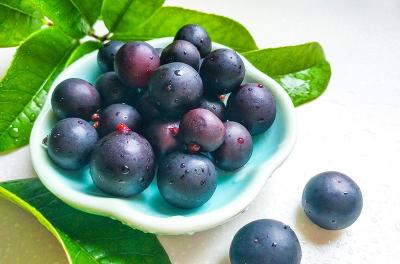 China Frozen Black Currants for sale