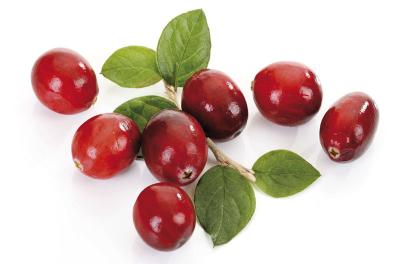 China IQF Cranberry,Frozen Cranberry,frozen organic fruit for sale