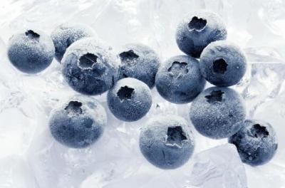 China IQF Blueberry,Frozen Blueberry for sale