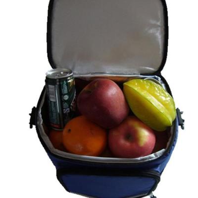 Cina Il pranzo personale porta la borsa del dispositivo di raffreddamento di picnic con il compartimento due in vendita