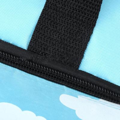 China De openlucht Koelere Zak CMYK Pringting van de Geschiktheidslaminering Geïsoleerde Picknick Te koop