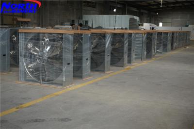 China Big Dutchman Super Exhaust Fan poultry house fan for sale