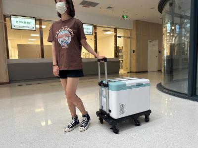 中国 低温圧縮機 冷蔵庫 -86°C 究極のワクチンの貯蔵ソリューション 販売のため