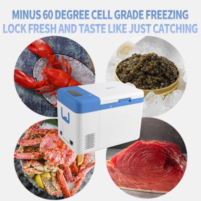 Cina 17Capacità di.5 kg Piccolo congelatore a -60 gradi per lo stoccaggio domestico e le attività all'aperto in vendita