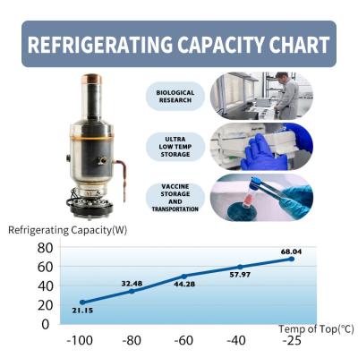 Cina Motore di stirlaggio a pistoni liberi da 100 a 240 V 12V/24 V per raffreddamento rapido profondo meno 130 gradi in vendita