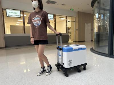 Cina Laboratorio 25L Single-temperatura Deep Chest Storage frigorifero con frigorifero Stirling Free Piston in vendita