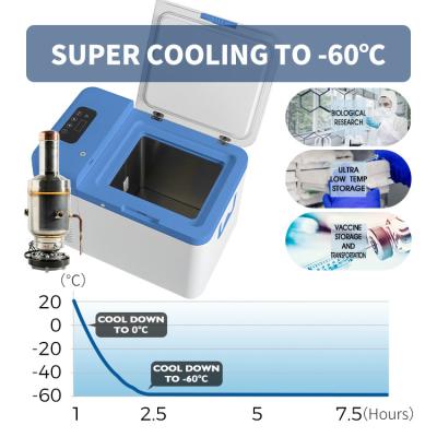 Cina Tecnologia di raffreddamento Stirling -60C costruita per i mercati clinici e sanitari Ult Freezer in vendita