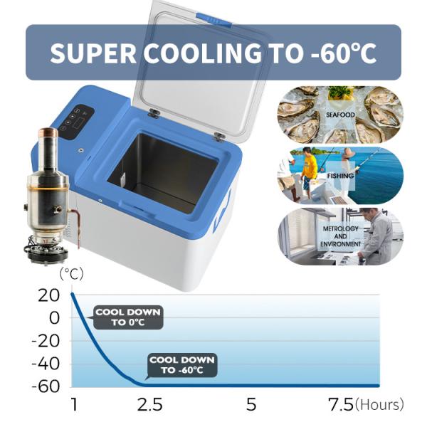 Quality 12V/24V -60 Degree Deep Cold Storage and Transfer Portable Freezer for Mini Cars for sale