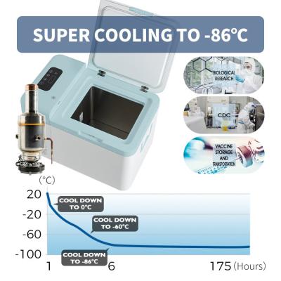 Cina Controllo della temperatura ±1C Mini congelatore -86C con raffreddatore Stirling e design portatile in vendita