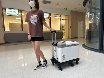 Cina Congelatore portatile per vaccini ospedalieri a corrente continua a 12 V con compressore e controllo di temperatura preciso in vendita