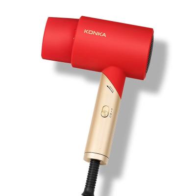 China Travel Agency's Must-Have Foldable and Portable Hair Dryer with Warm Wind Protection for sale