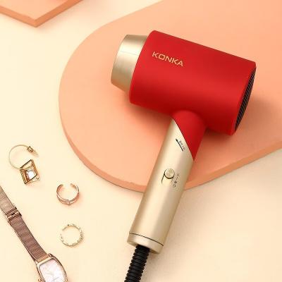 China Travel Agency's Must-Have Foldable and Portable Hair Dryer with Warm Wind Protection for sale