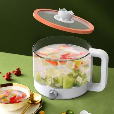 China Customized Logo Multi Functional Glass Inner Health Pot The Essential Office Product for sale