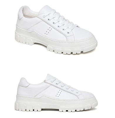 Cina Letter Graphic Donna Lace-up Front Calzature Casual, Calzature da pattinaggio sportive personalizzate in vendita