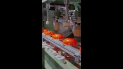 Melamine Tableware Grinding & Polishing Machine