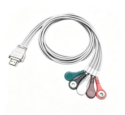 China 19 Pin Holter ECG Cable 1.25m ECG Accessories 5 Lead Compatible Biocare IH-12PLUS for sale