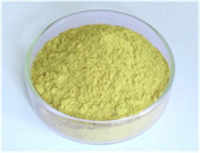 China Scutellaria Baicalensis Extract，medicine Scutellaria Baicalensis Extract，functional cosmetic material Scutellaria Baical for sale