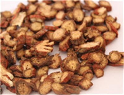 China Salvia Miltiorrhiza Extract，Salvia Miltiorrhiza Extract Supplier，Salvia Miltiorrhiza Extract Factory，Salvia Miltiorrhiza for sale