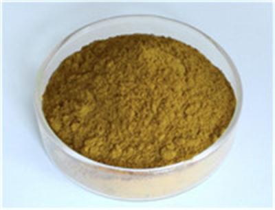 China Cistanche Tubulosa Extract,Cistanche Tubulosa Extract Supplier,Cistanche Tubulosa Extract Factory,Cistanche Tubulosa Pow for sale