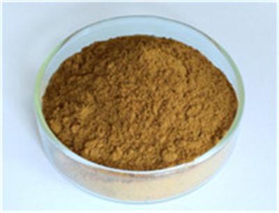 China Ginkgo Biloba Extract for sale