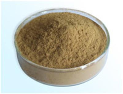 China SEA BUCKTHORN EXTRACT for sale