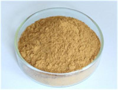 China Astragalus Root Extract,Astragalus Root Extract lowering blood lipid for sale