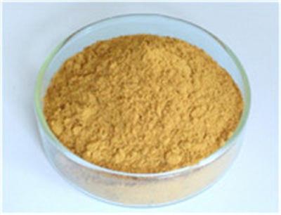 China American Ginseng P.E Manufacturer for sale