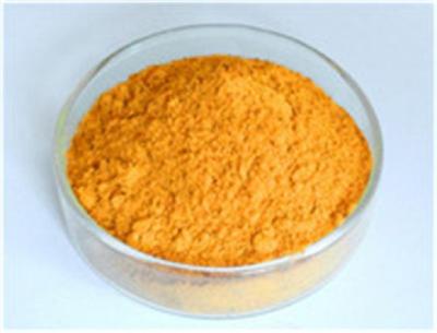 China food production Curcumin powder Supplier for sale