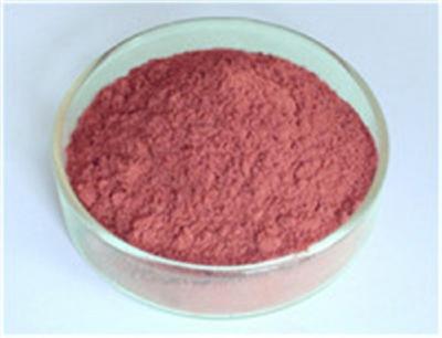 China anti-tumor Grape Seed Extract Manufacturer for sale
