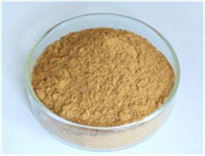China Astragalus Root Extract protect liver Manufacturer for sale