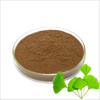 China Factory Supply Ginkgo Biloba Extract CP Ginkgo Biloba Extract Powder for sale