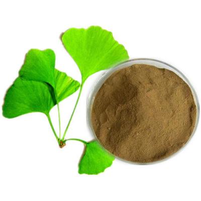 China Wholesale Bulk Ginkgo Biloba Extract EP Ginkgo Flavones Powder for sale