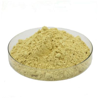China Factory Direct Sale Scutellaria Baicalensis Root Extract 80% Baicalin for sale