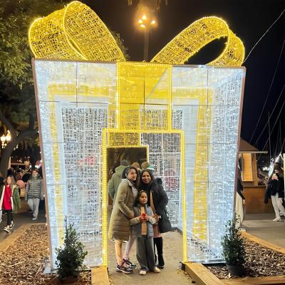 China High-Quality 3D LED Wire Gift Box Decoration Lights for Christmas, Perfect for Plant and Garden Use for sale