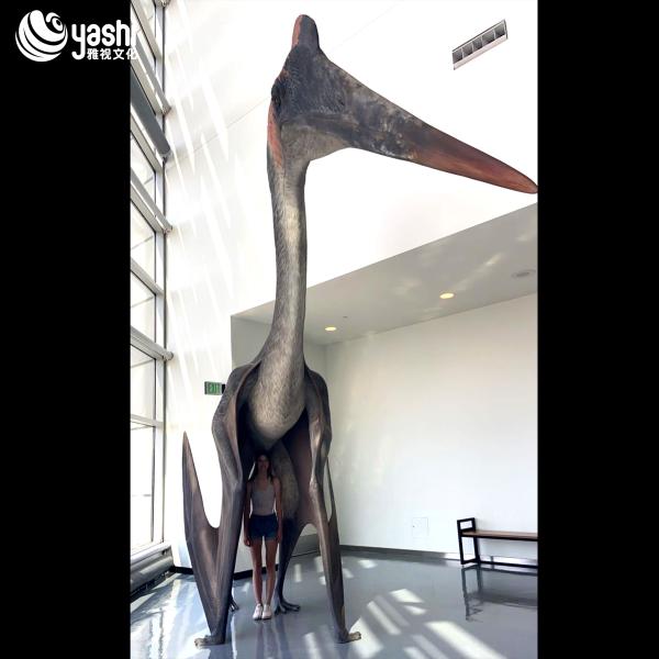 Quality Silicone Lifelike Pterodactyl Dinosaur Model Movable Electrically Powered for sale