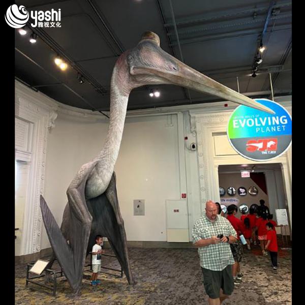 Quality Silicone Lifelike Pterodactyl Dinosaur Model Movable Electrically Powered for sale