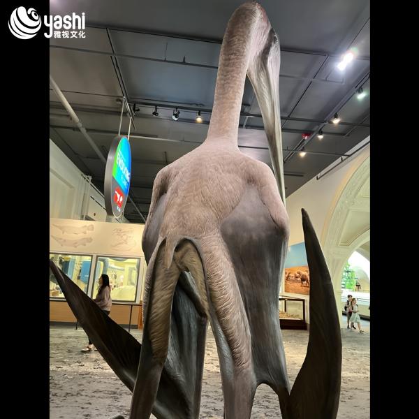 Quality Silicone Lifelike Pterodactyl Dinosaur Model Movable Electrically Powered for sale