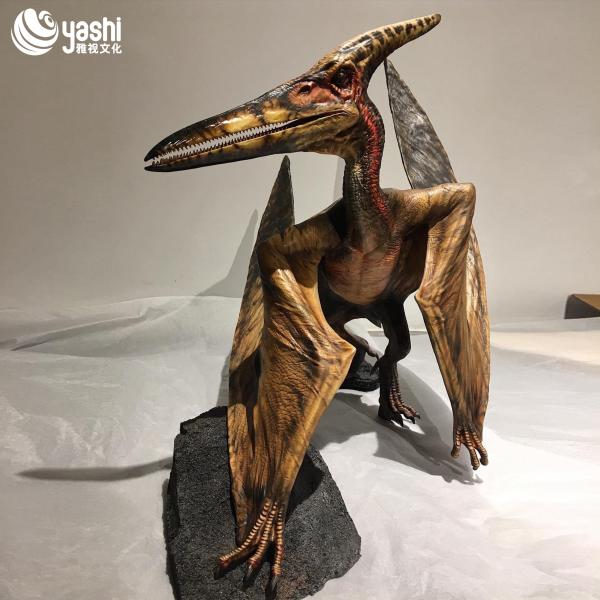 Quality Realistic Dinosaur Sculpture Animated Model for Jurassic Theme Park Decoration for sale