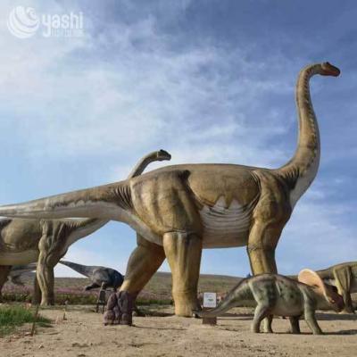 China Custom Giant Life Size Animatronic Brachiosaurus Simulation Dinosaur Model for Theme Park Zoo Museum Outdoor Decoration for sale