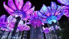 Dreamy Purple Lotus Hanging Light Installation