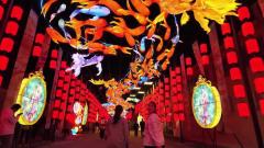 Fish Lantern Tunnel That Lights Up The Night ✨