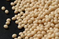 China Solid Granule EVA Based Adhesive Hot Melt Adhesive For Edge Banding Woodworking for sale