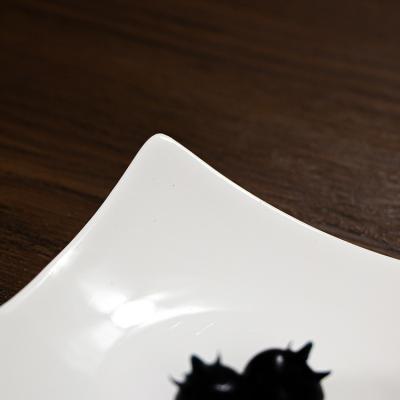 Cina Adatti nuovi il piatto del gusto controllato due volte delle stoviglie accessori in vendita
